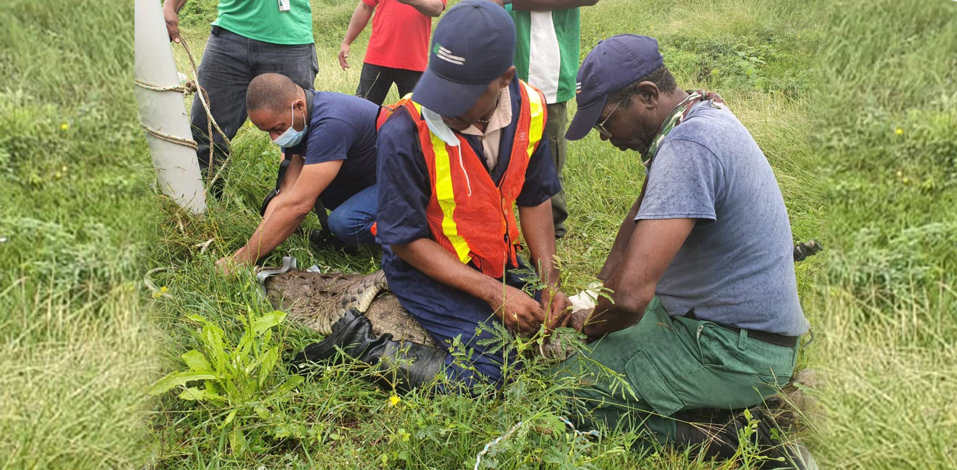 Urban Development Corporation